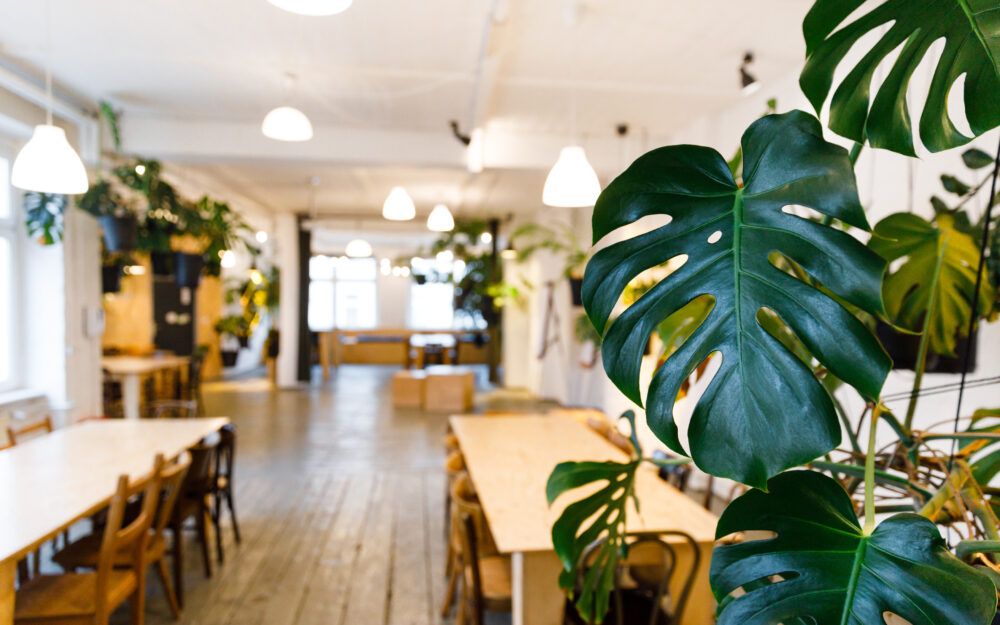 LIANE - Green Event Spaces in Berlin mieten | eventano