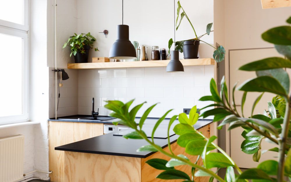 LIANE - Green Event Spaces in Berlin mieten | eventano